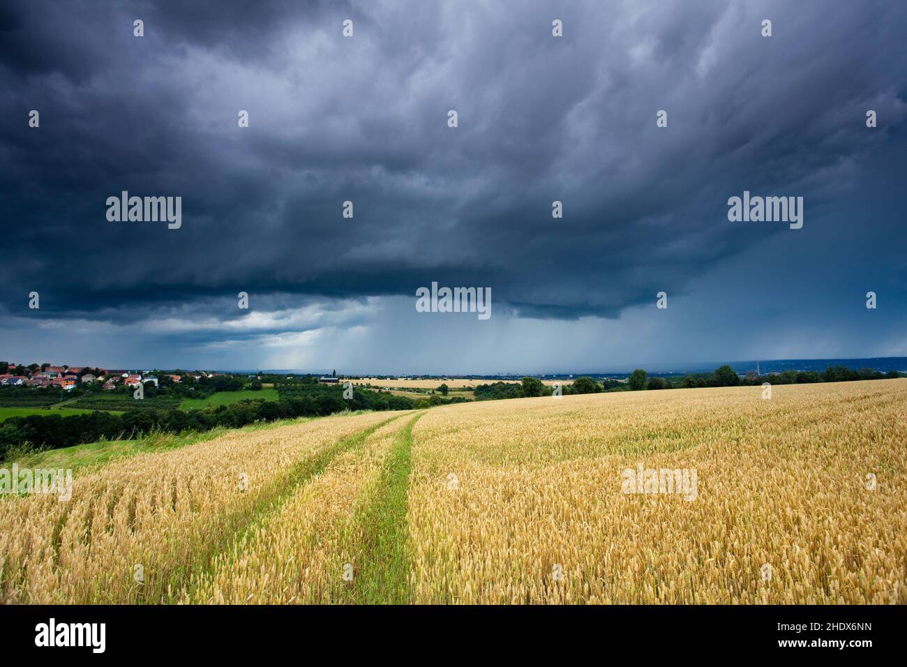 thundercloud, field, bad weather, dramatic, storm clouds, fields, bad ...