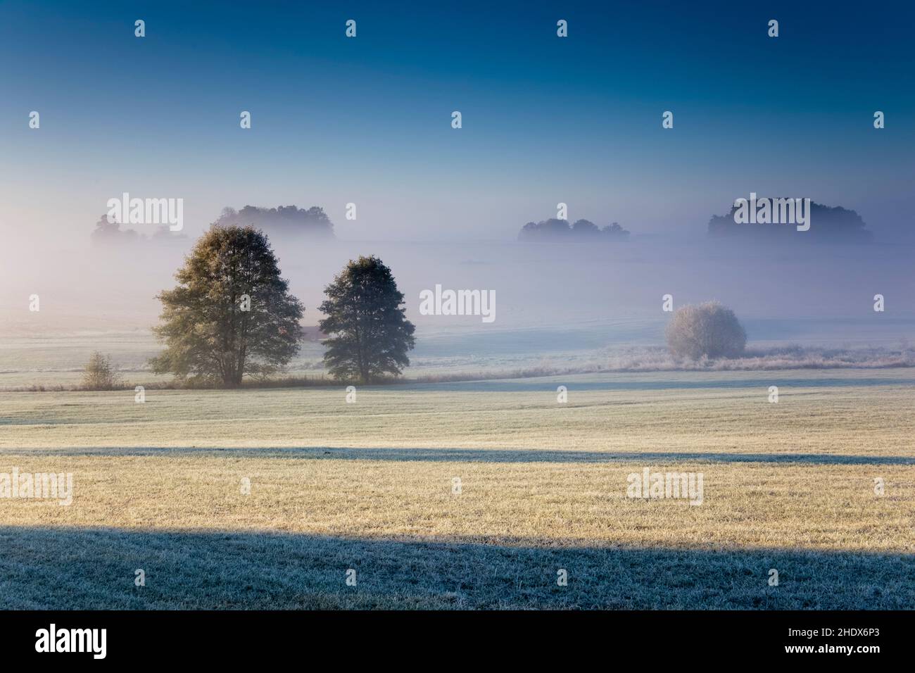 landscape, fog, morning mood, landscapes, rural, rural scene, scene ...