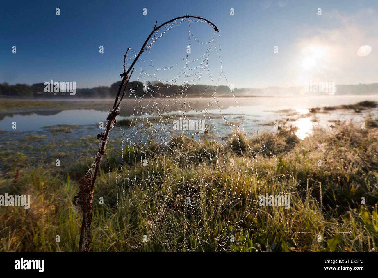 Spider lakes hi-res stock photography and images - Alamy