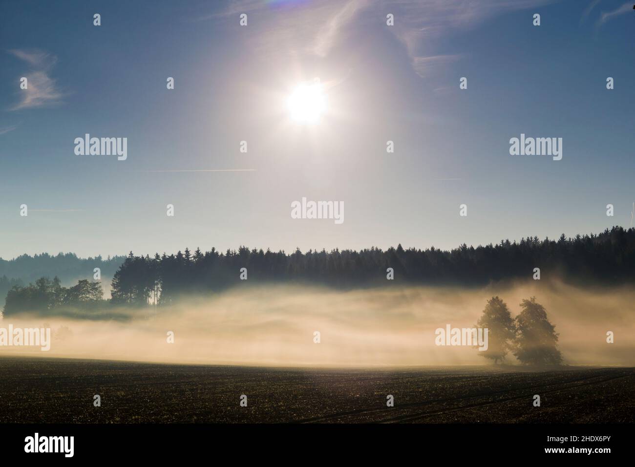 landscape, fog, landscapes, rural, rural scene, scene, scenery, scenes ...