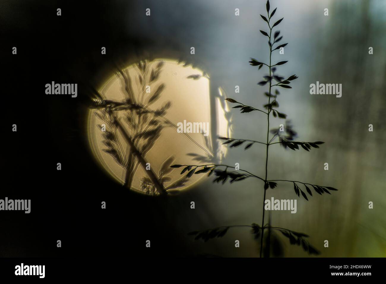nature, moon, natur, natures, moons Stock Photo - Alamy