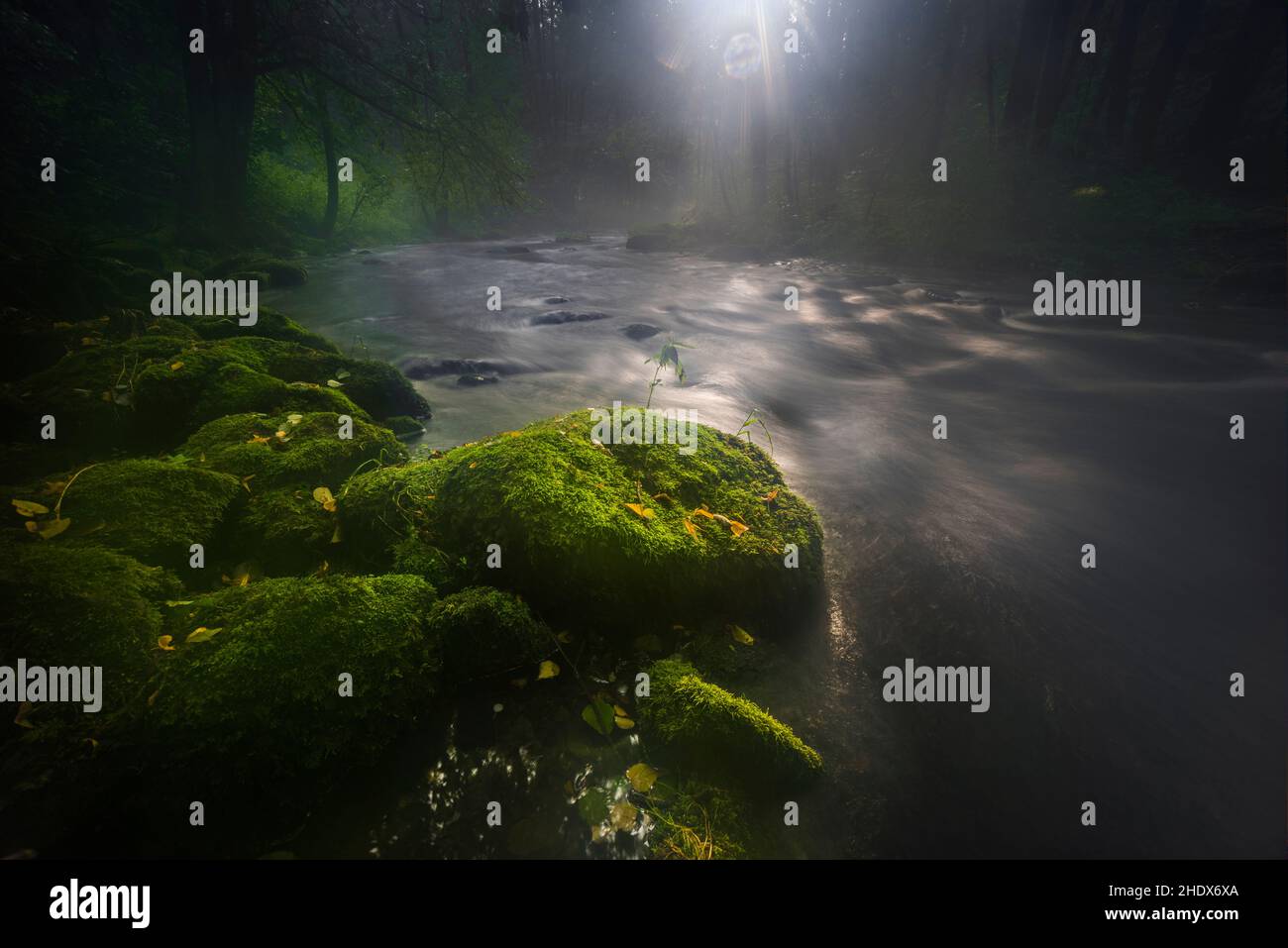 wilderness, light, sunbeams, torrent, wild, lights, sun beams, sun ray ...