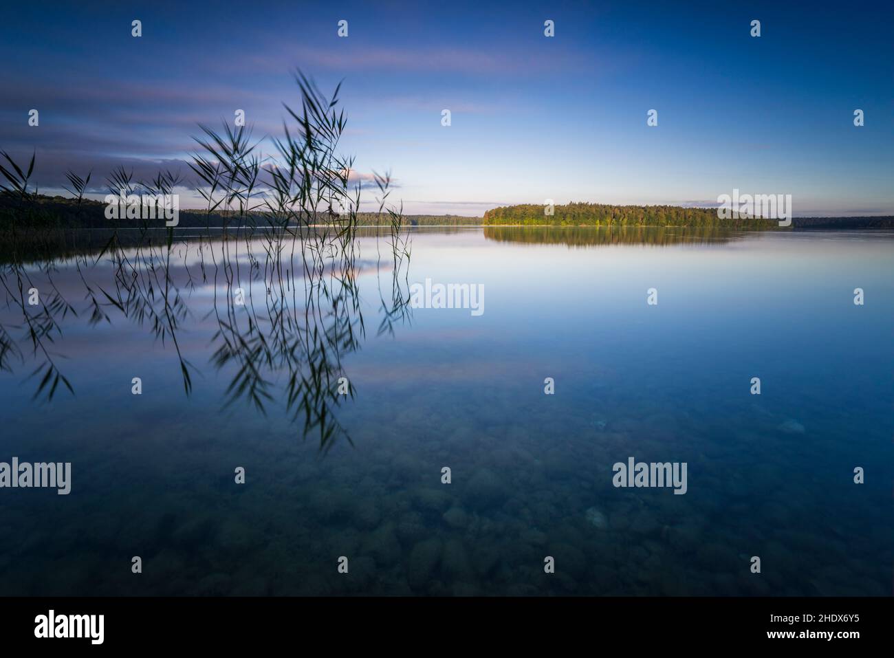 lake, brandenburg, stechlin, lakes, brandenburgs Stock Photo - Alamy