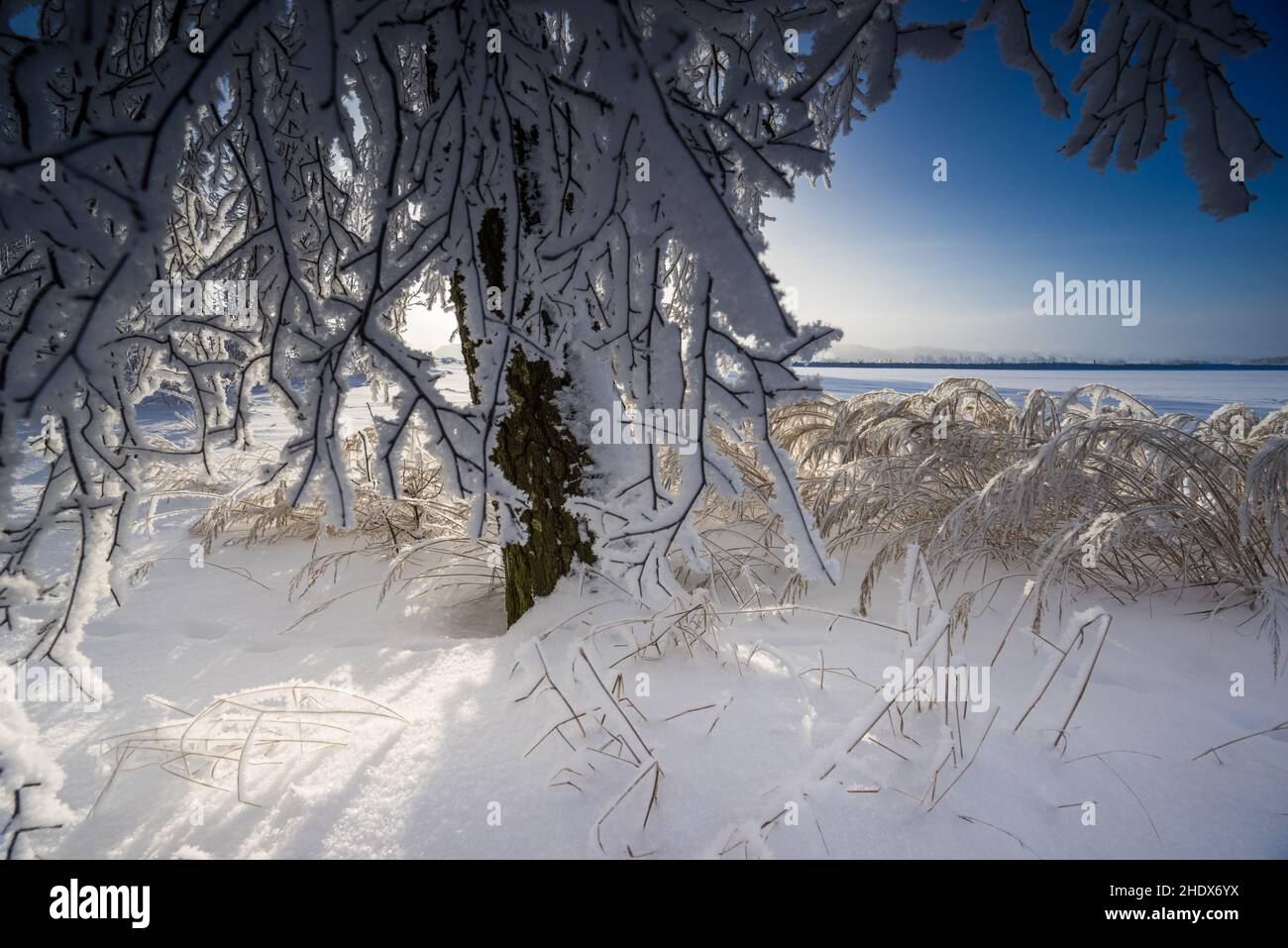 landscape, winter, landscapes, rural, rural scene, scene, scenery ...