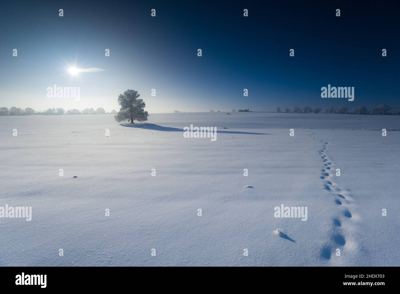 Any traces hi-res stock photography and images - Alamy