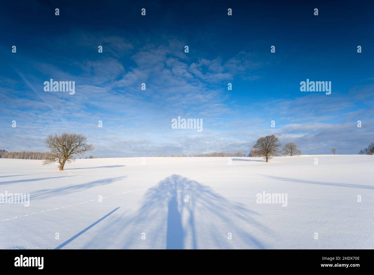 winter, winter landscape, tree shadow, snow cover, winters, landscape ...