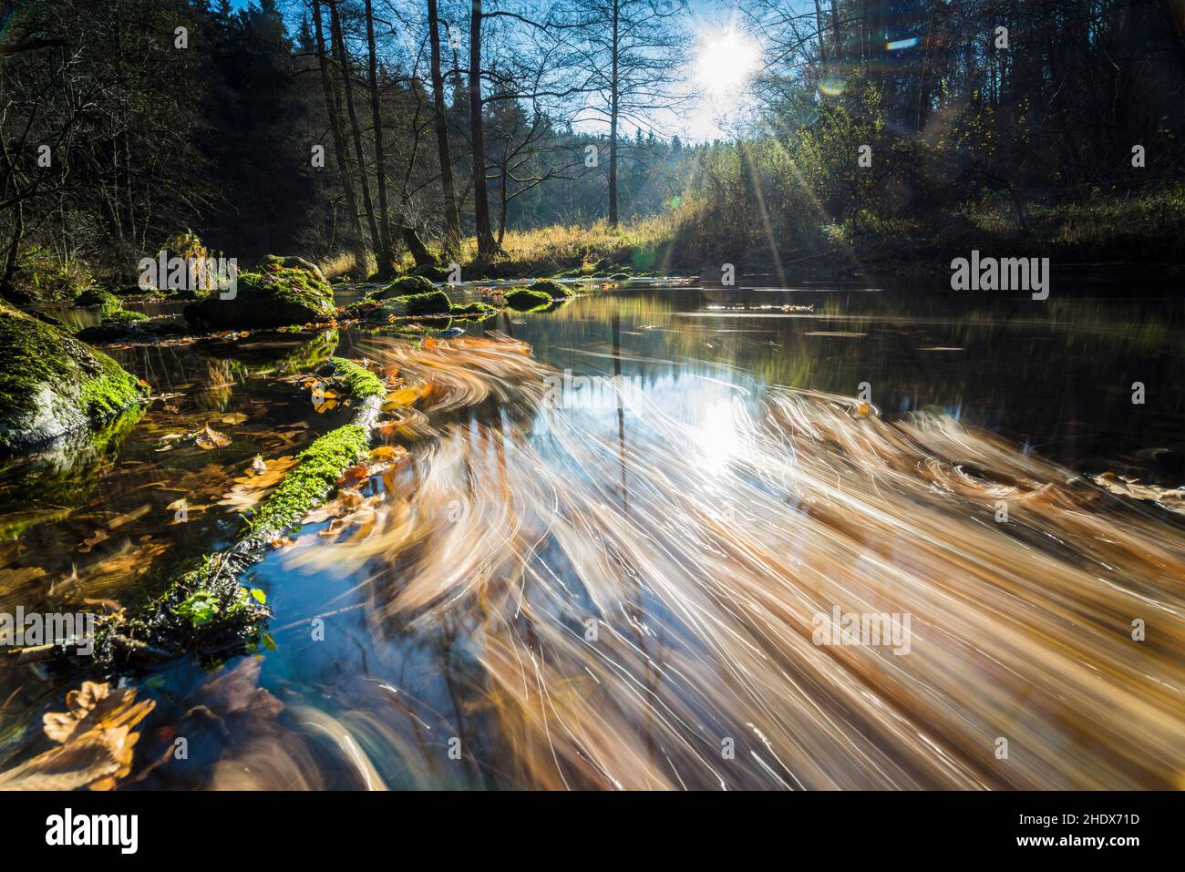 forest, stream, track lighting, forests, wood, woodland, woods, ditch ...