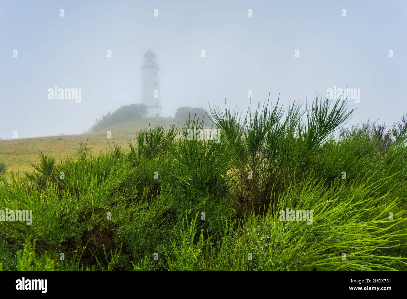 lighthouse, hiddensee, lighthouse dornbusch, lighthouses, hiddensees ...