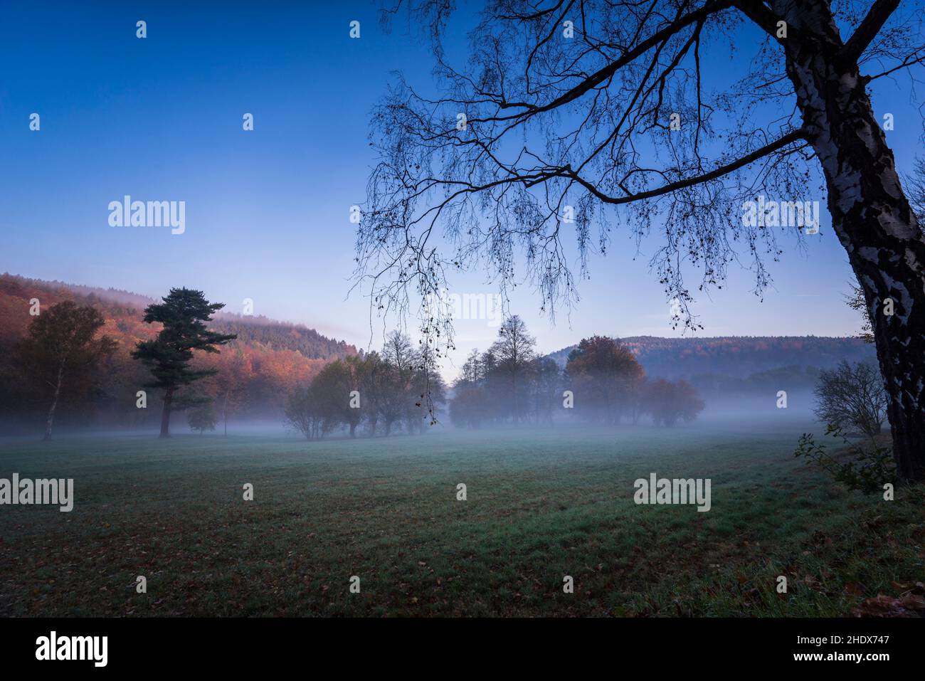 landscape, autumn, fog, landscapes, rural, rural scene, scene, scenery ...