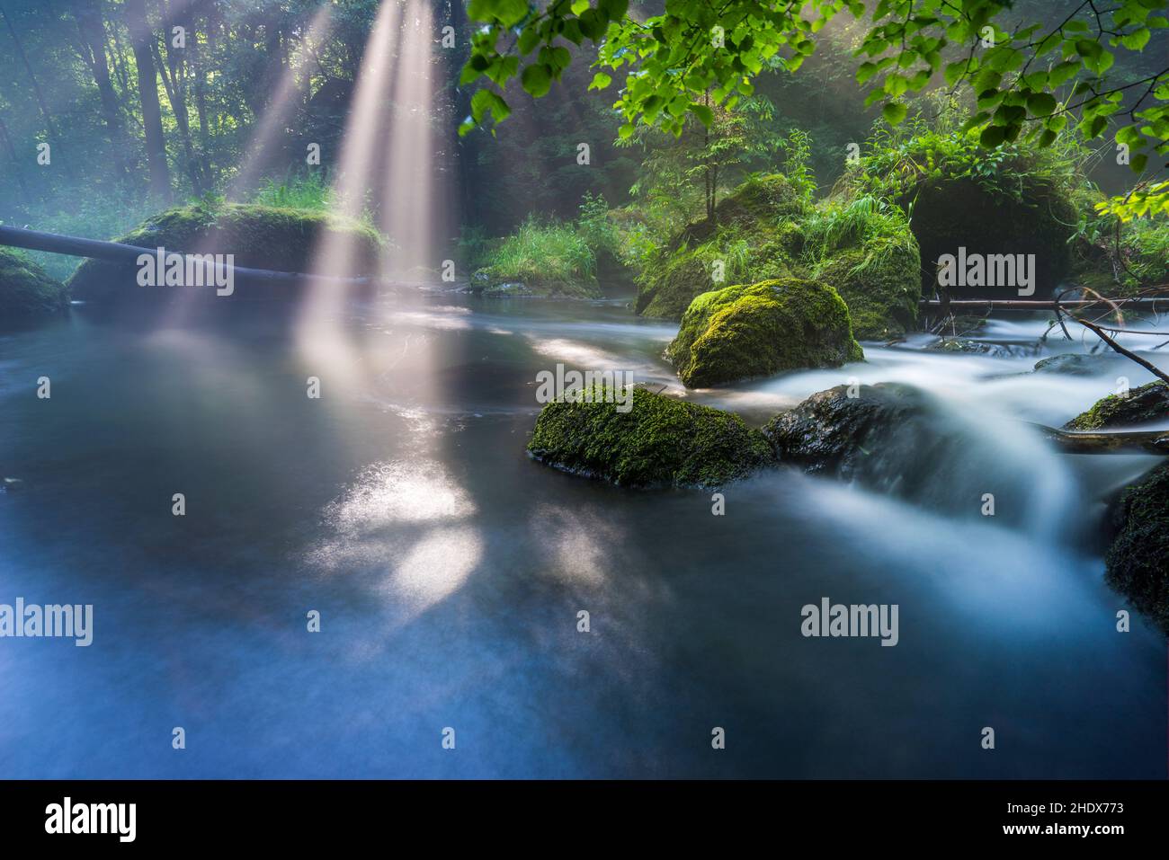 stream, moss, light beam, ditch, streams, mosses, light beams ...