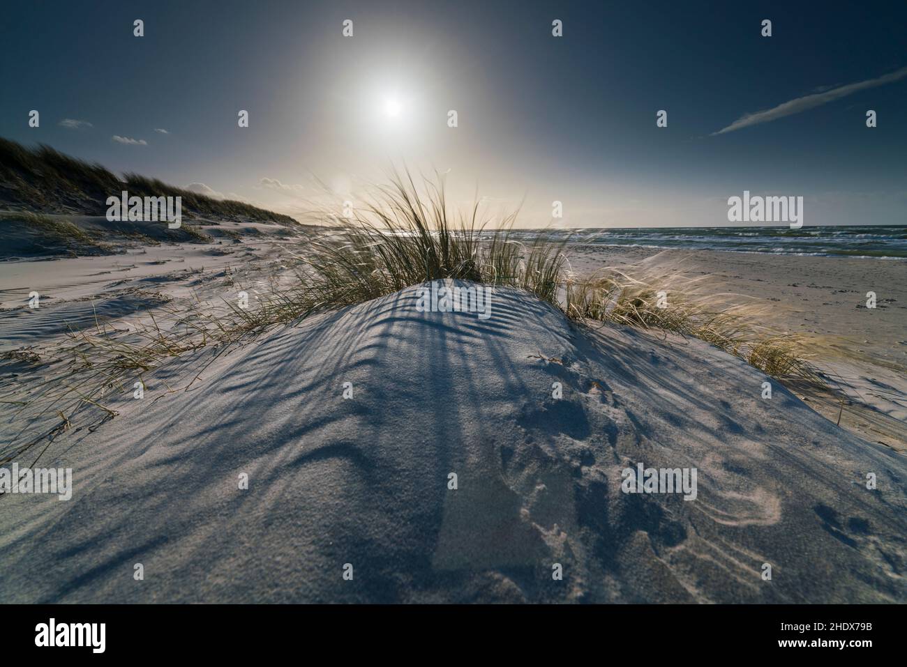 backlighting, beach, back lit, beaches, seaside Stock Photo - Alamy