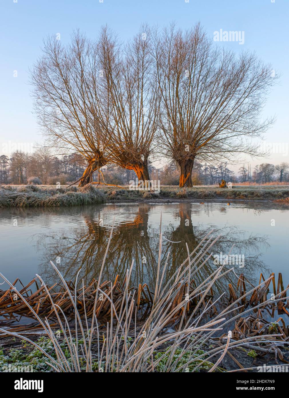 Flatford scenery hi-res stock photography and images - Alamy