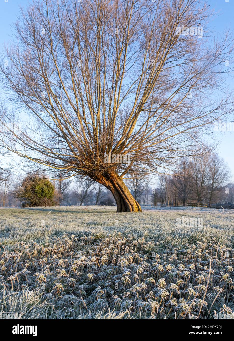 Flatford scenery hi-res stock photography and images - Alamy