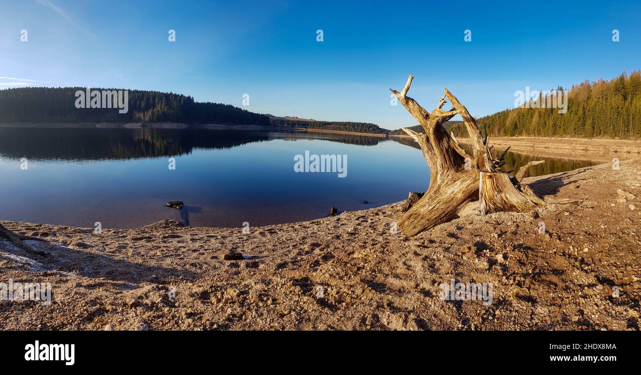 Lake with reflection of dense trees and clear sky Stock Photo - Alamy