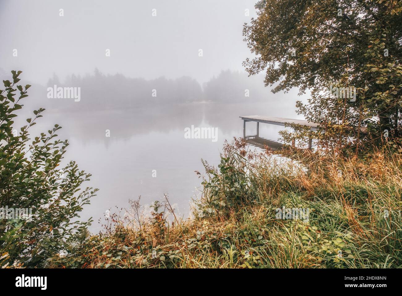 Fog landscape landscape of rivers and lakes hi-res stock photography ...