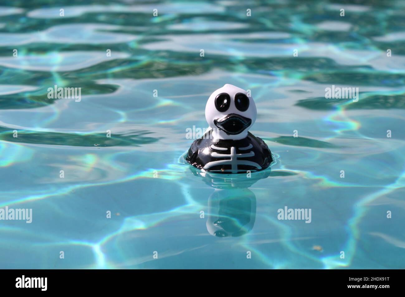 pool, rubber duck, skeleton, pools, wooden post, rubber ducks ...