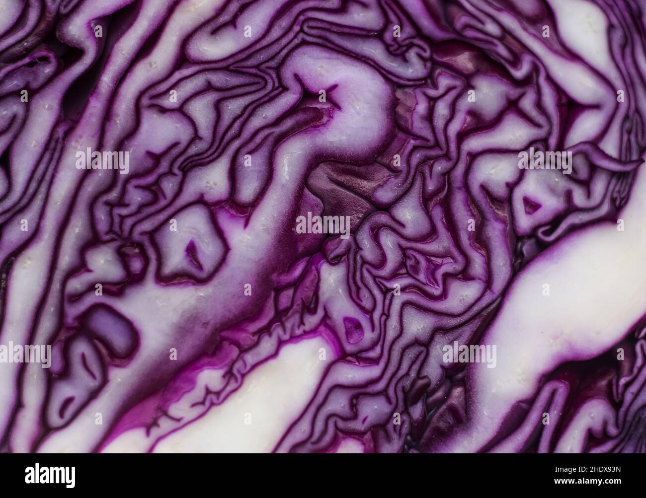backgrounds, colors & shapes, red cabbage, background, colors and ...