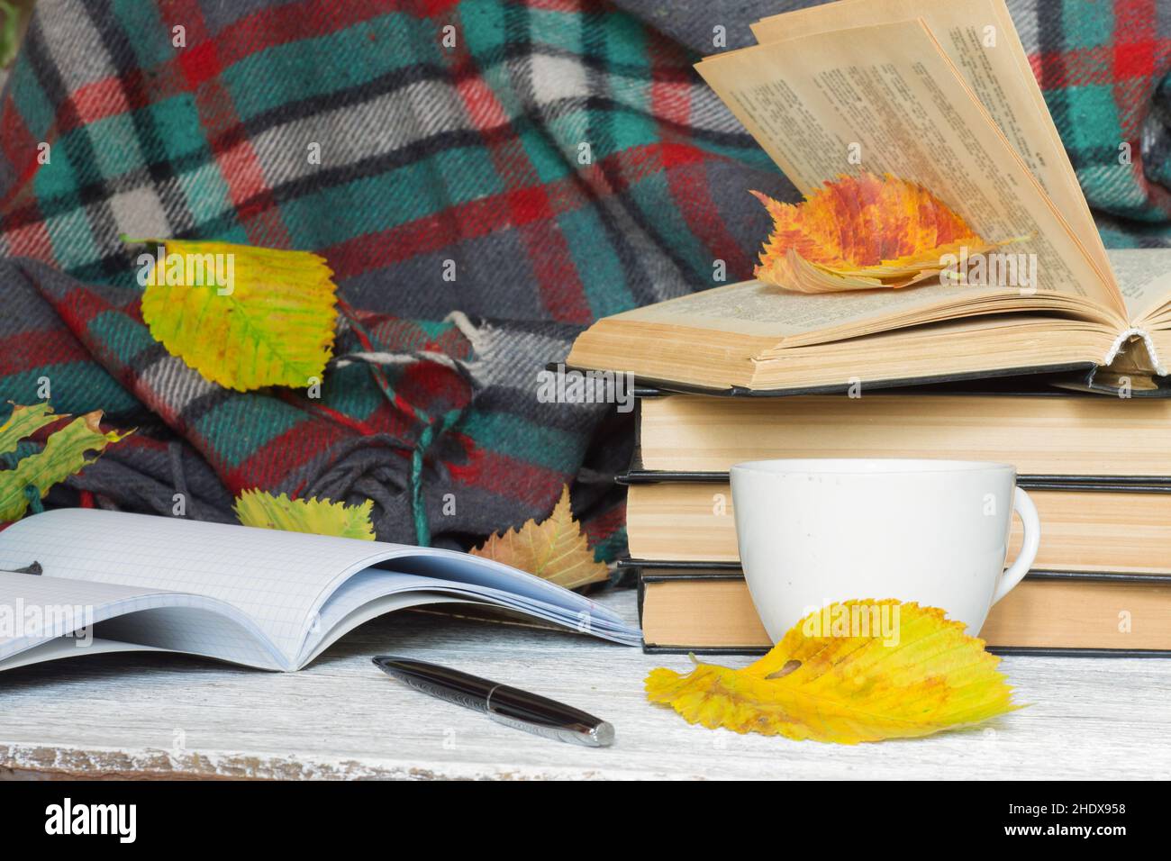 literature, books, reading, literatures, book, read, reading a book ...