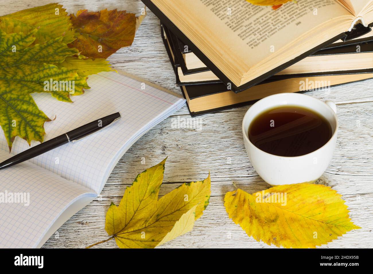 tea break, reading, tea breaks, read, reading a book, reading something ...