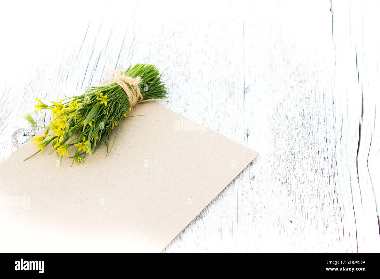 wild flower, sheets of paper, wild flowers, sheets of papers Stock ...