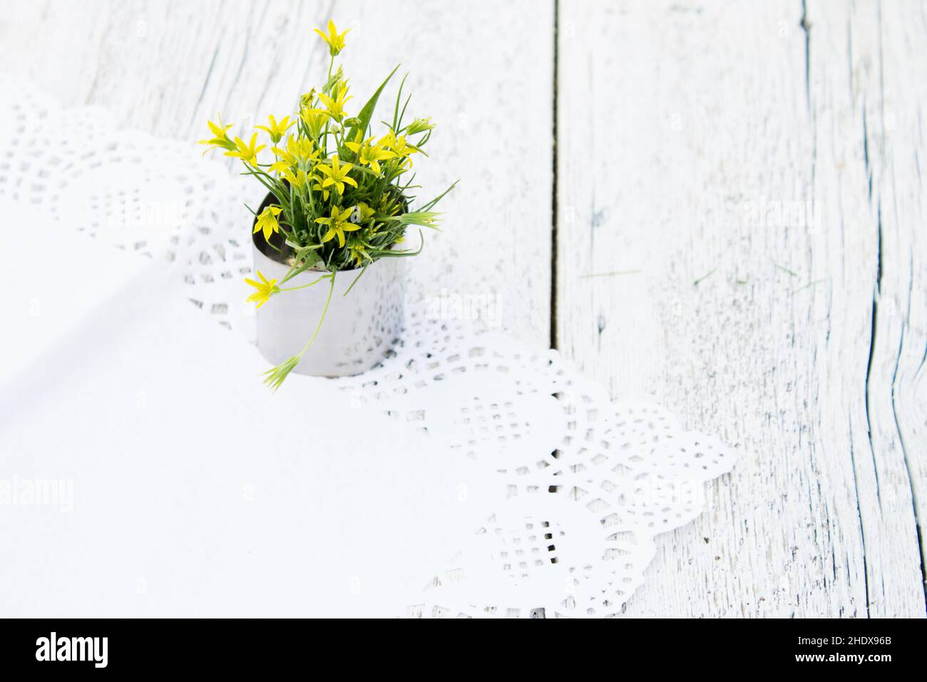 Filigree decoration hi-res stock photography and images - Alamy