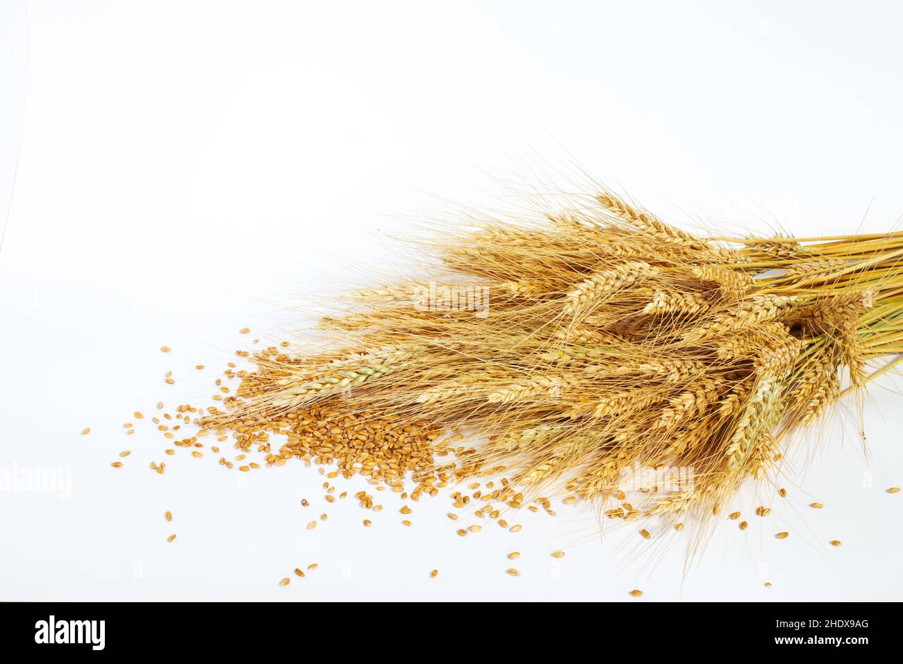 Wheat horizontal hi-res stock photography and images - Alamy