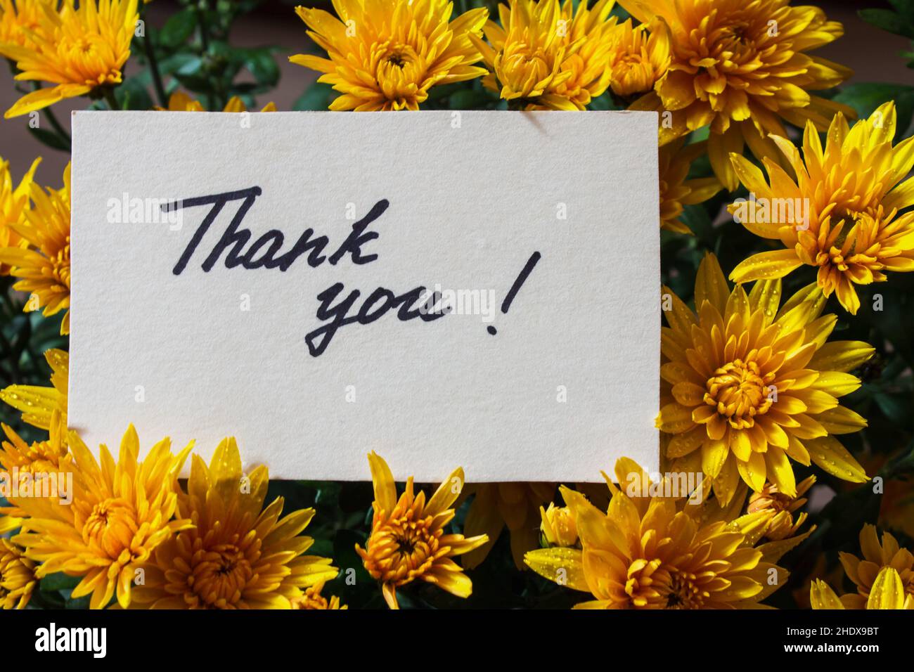 Thank yous hi-res stock photography and images - Alamy