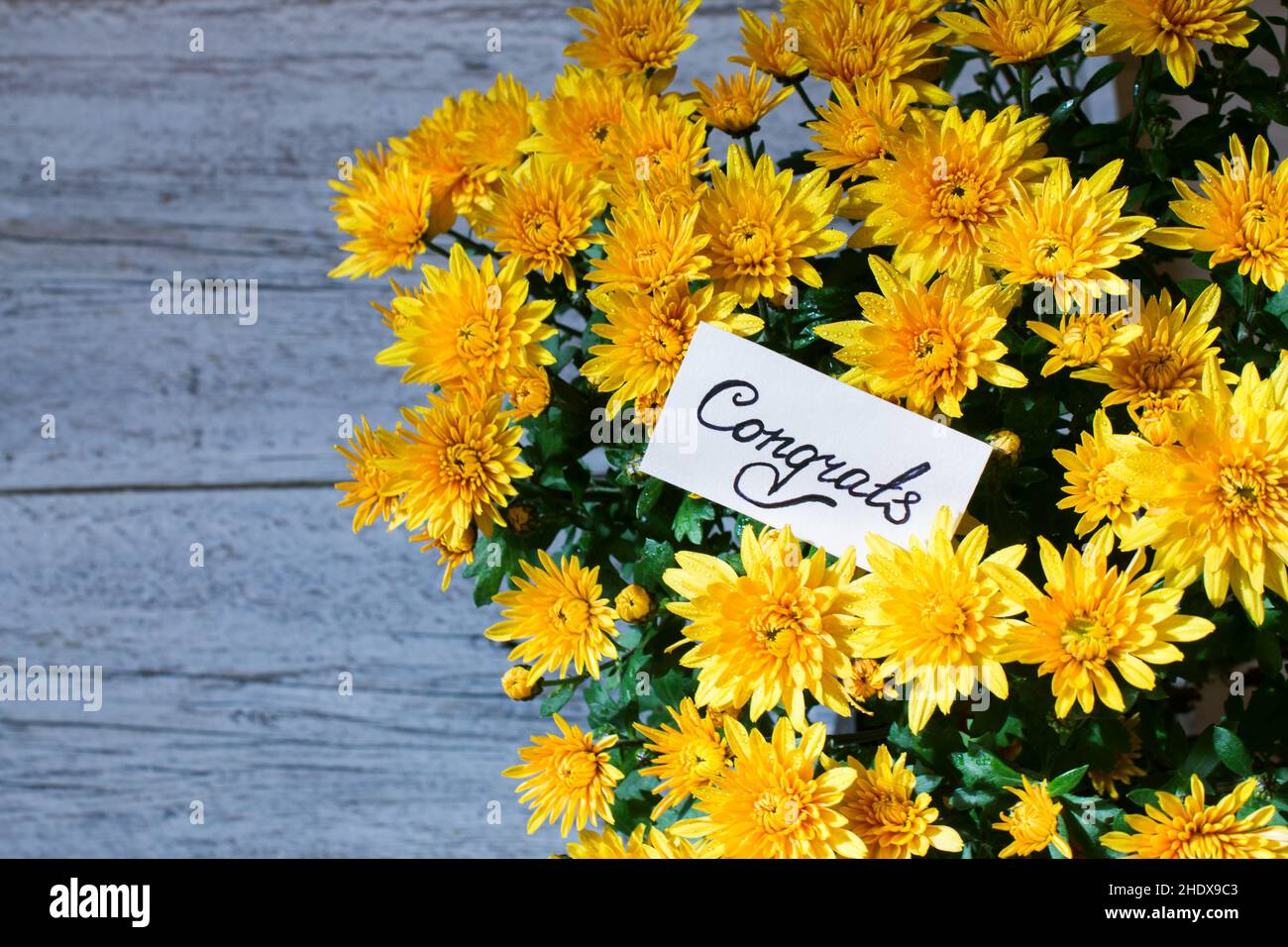 bouquet, congratulations, bouquets, congratulation Stock Photo - Alamy