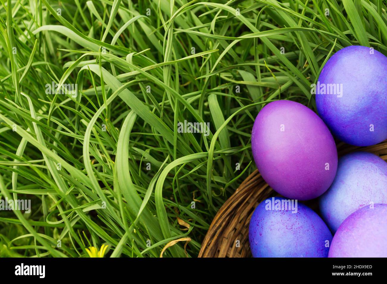 easter eggs, easter egg Stock Photo - Alamy