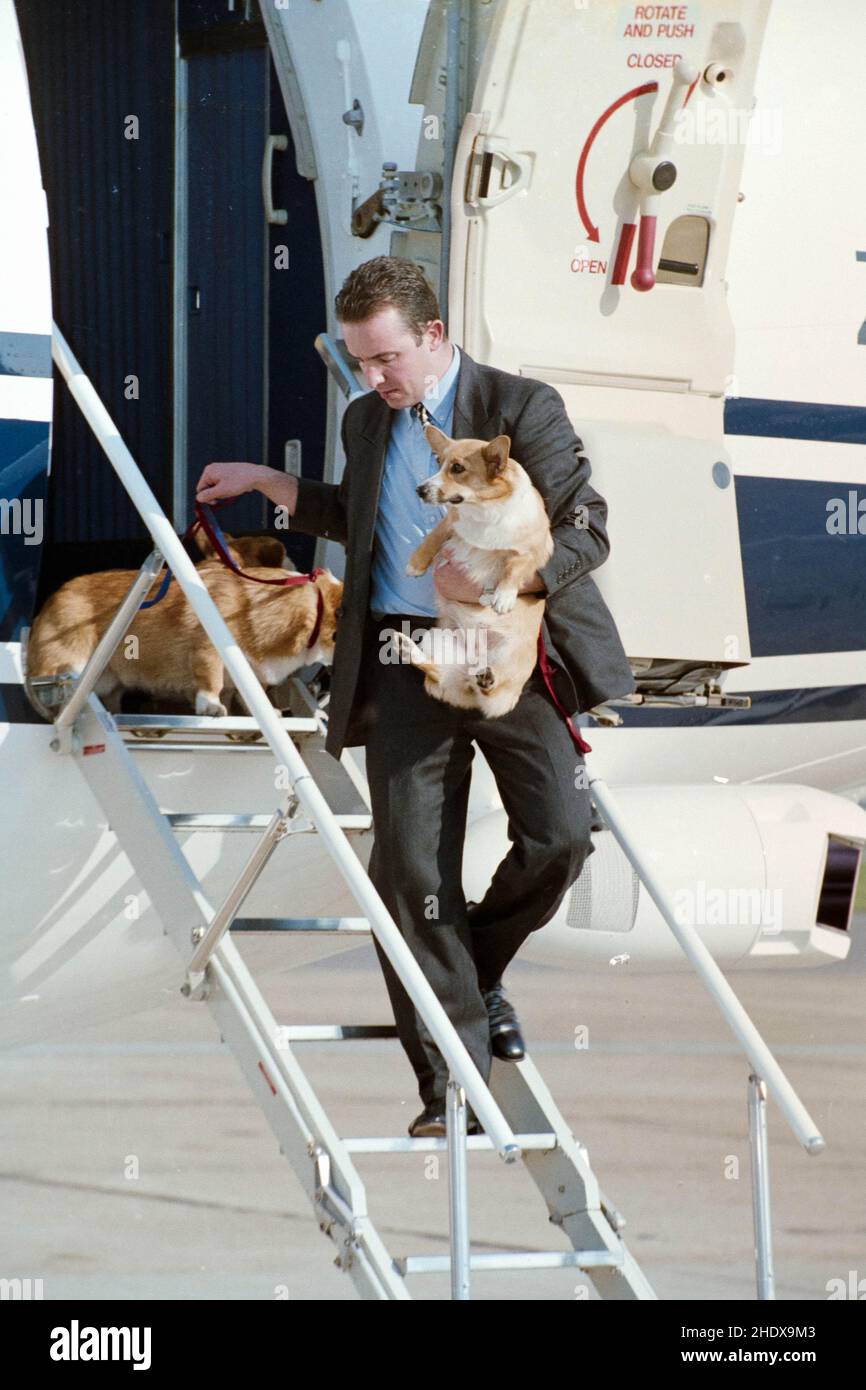 Queen Elizabeth II arriving with her corgis at London Heathrow Airport ...
