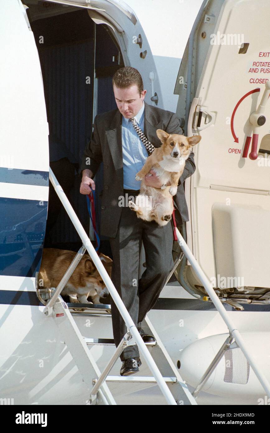 Queen Elizabeth II arriving with her corgis at London Heathrow Airport ...
