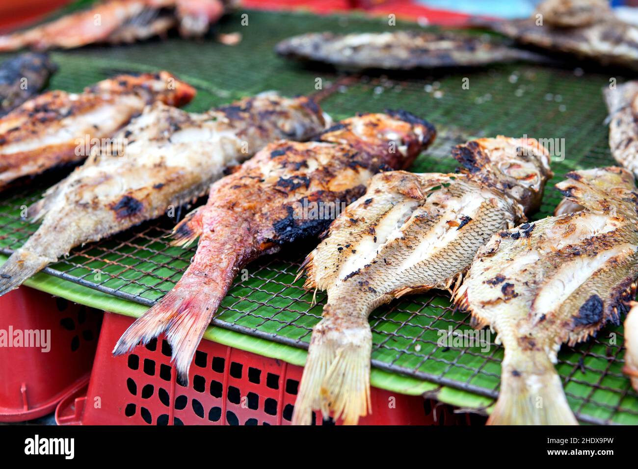 fast food, grooved, fish fillet, fastfood, grooveds, fish fillets Stock ...