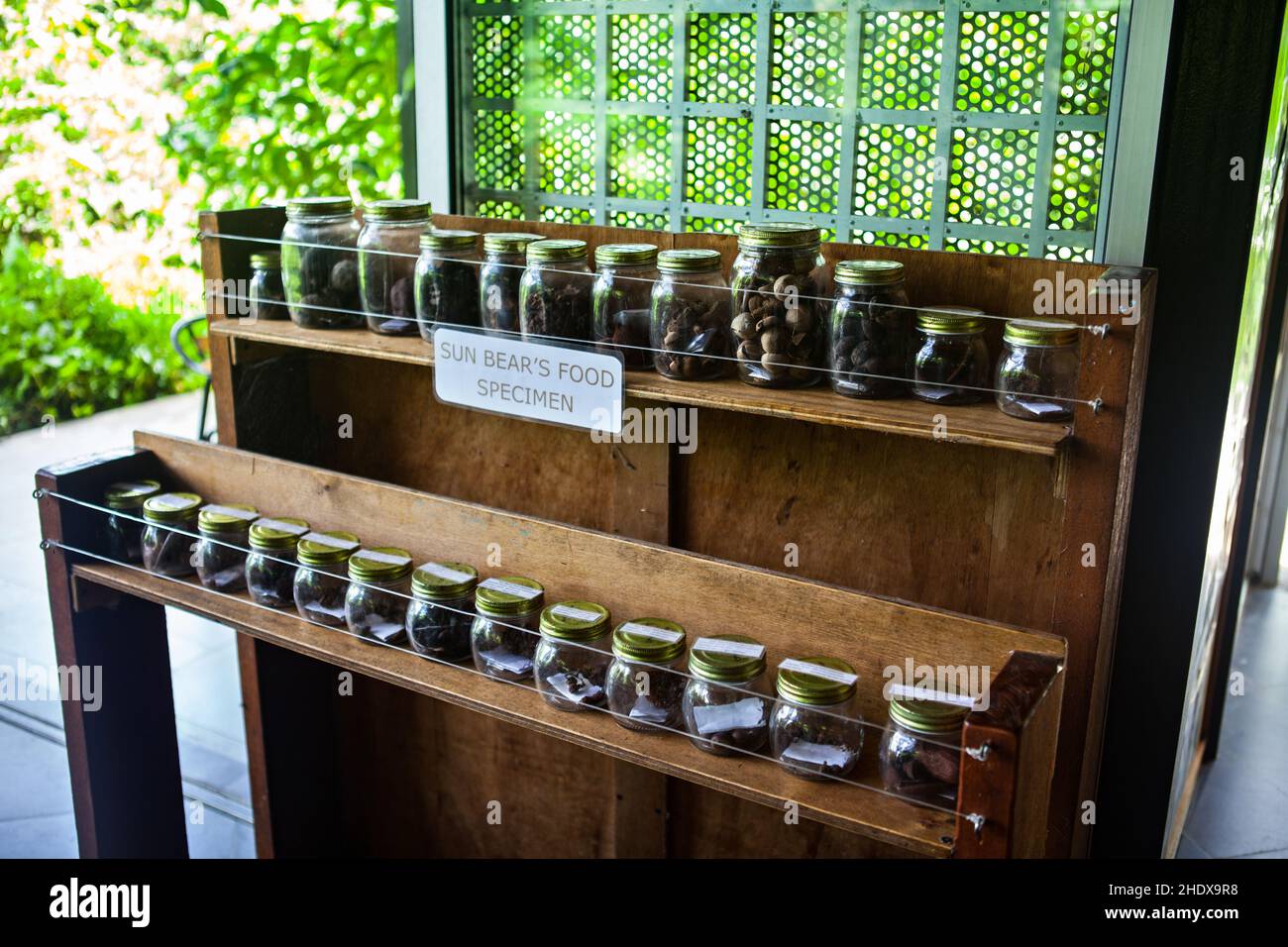food, sun bear, foods, sun bears Stock Photo - Alamy