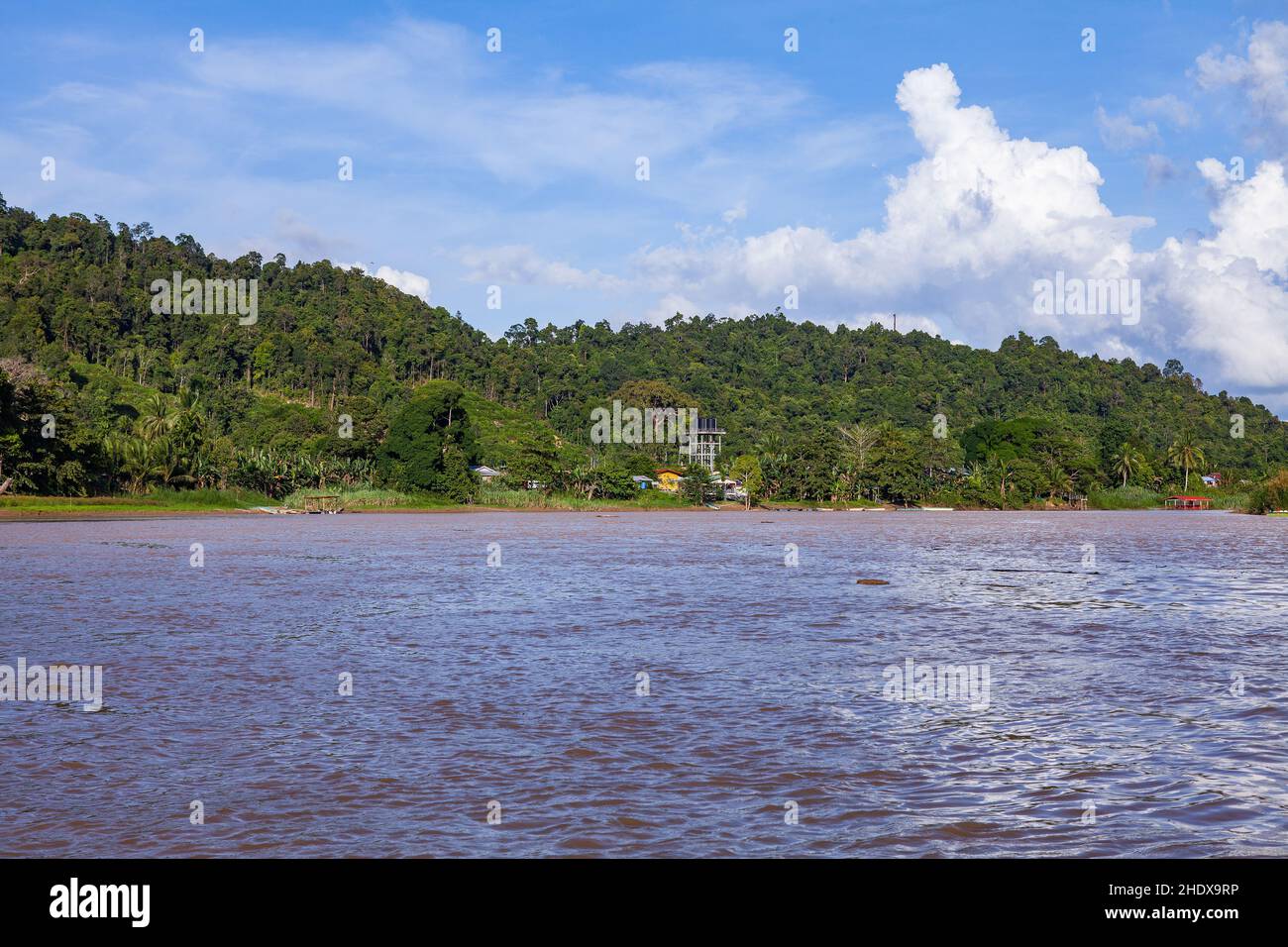 Borneos hi-res stock photography and images - Alamy