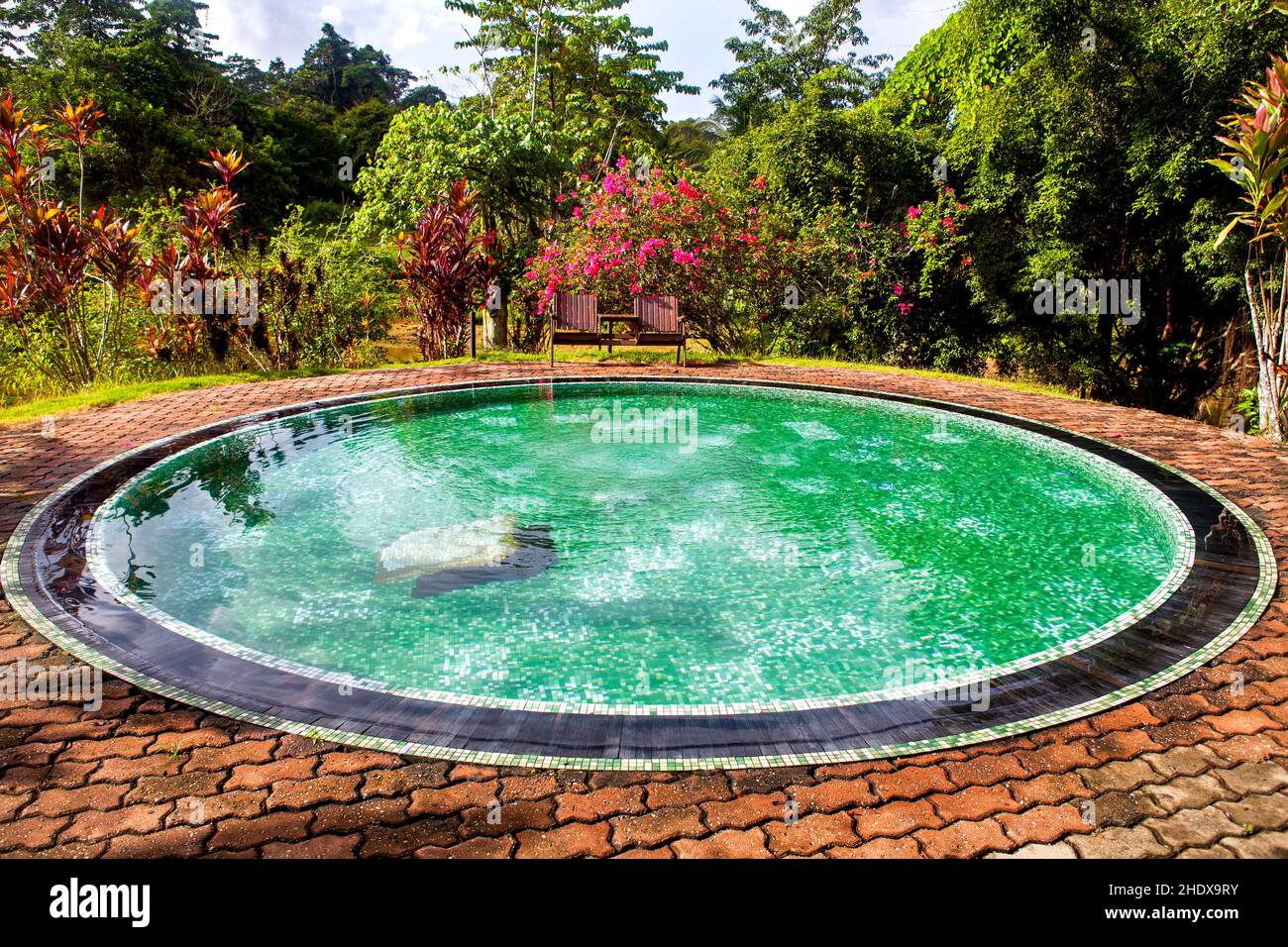 pool, swimming pool, pools, wooden post Stock Photo - Alamy
