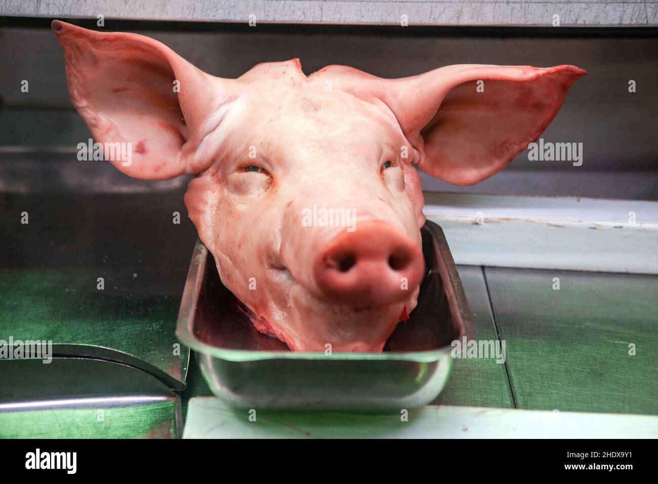 Pighead hi-res stock photography and images - Alamy