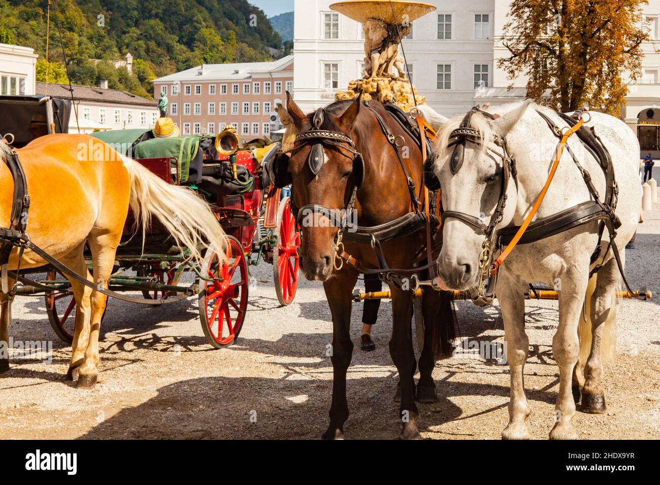 horse carriage, fiaker, horse carriages, stagecoach, fiakers Stock ...
