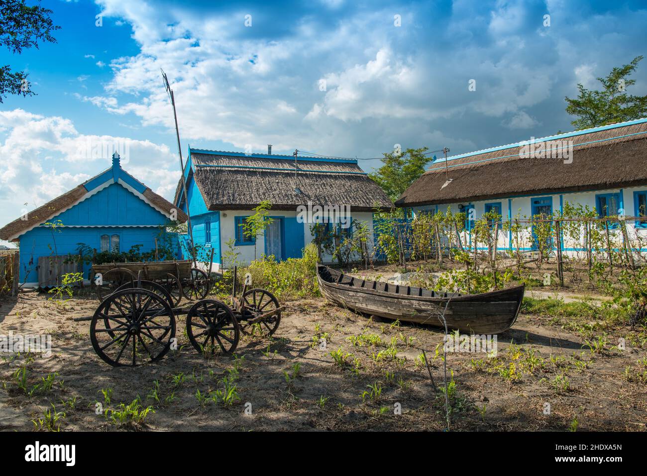 farm, vegetable garden, romania, farms, homestead, vegetable gardens ...