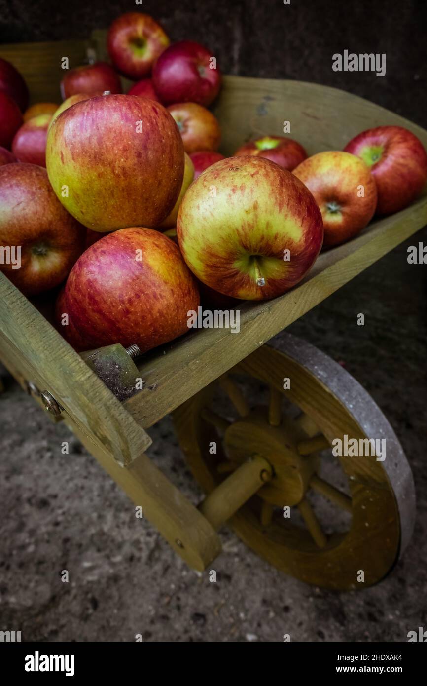 harvest, apples, harvests, apple Stock Photo - Alamy