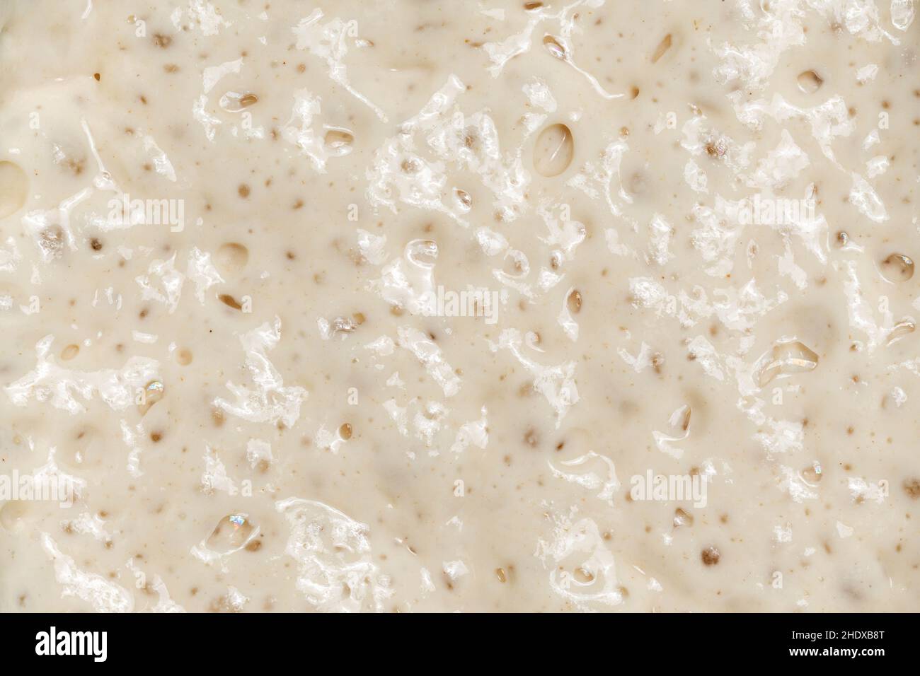 Yeast working as a bread-making preferment Stock Photo - Alamy