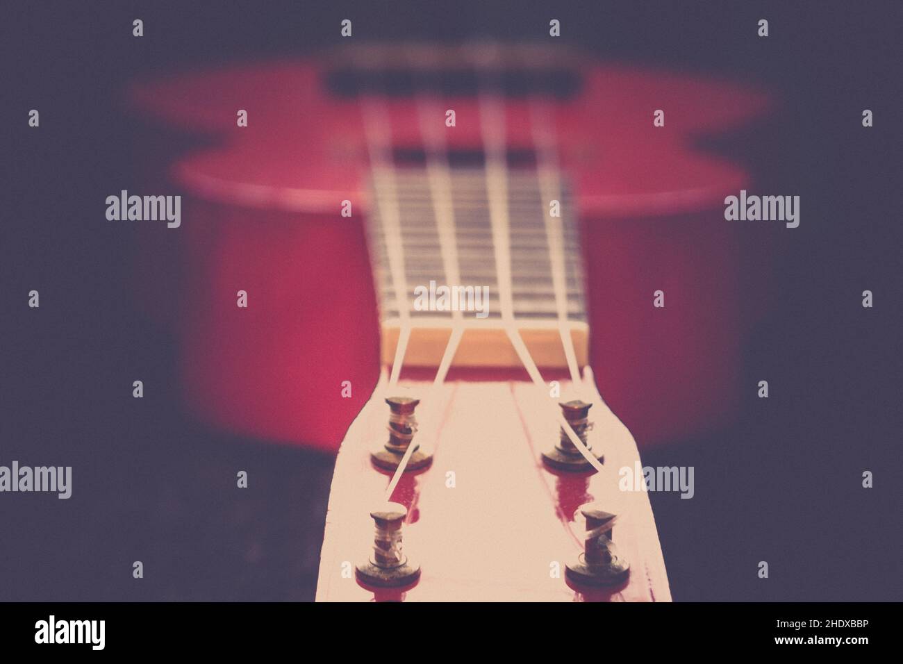 fingerboard, string instrument, fingerboards, string instruments Stock ...