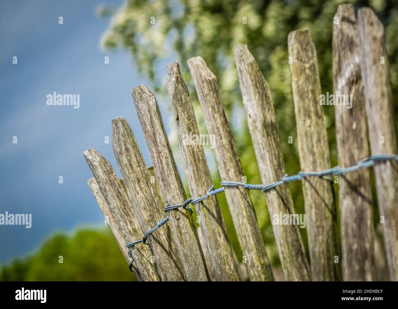Borders and fences hi-res stock photography and images - Alamy