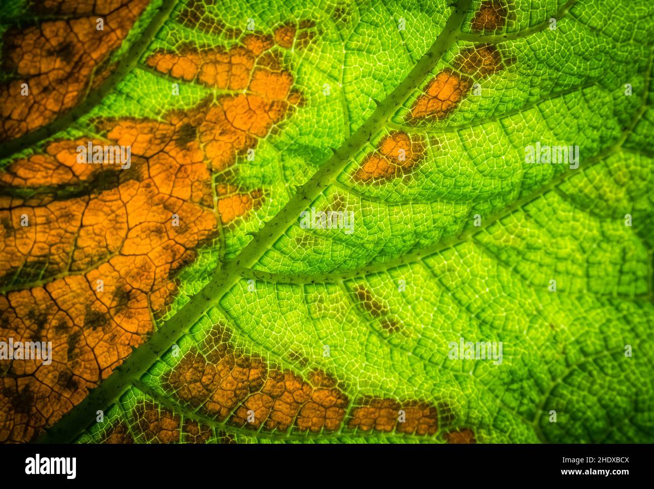 Aging structures hi-res stock photography and images - Alamy