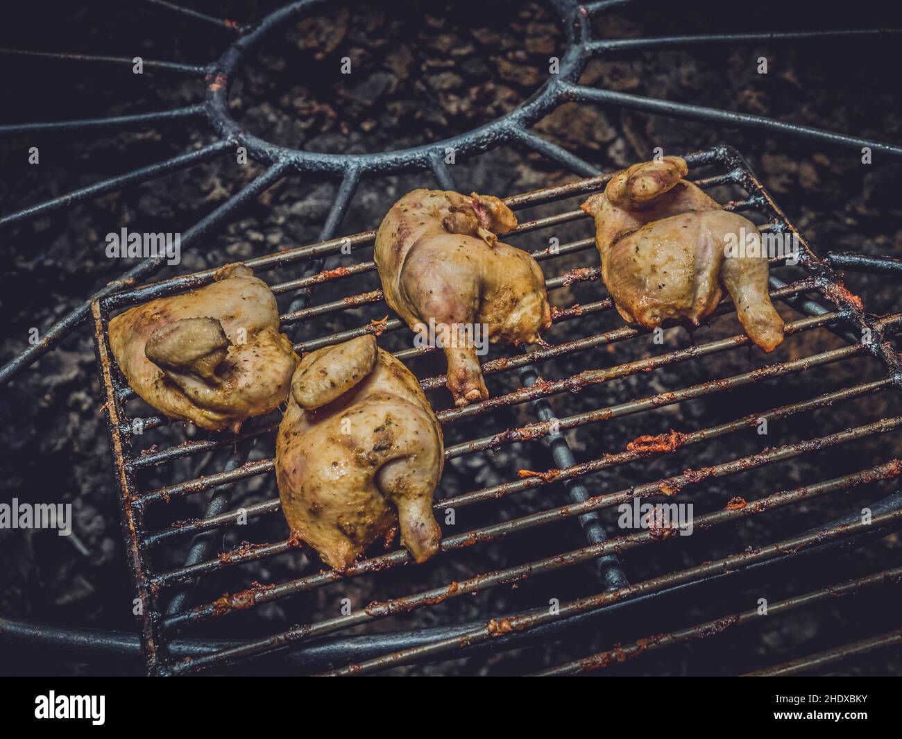 poultry, chicken, poultries, chickens Stock Photo - Alamy