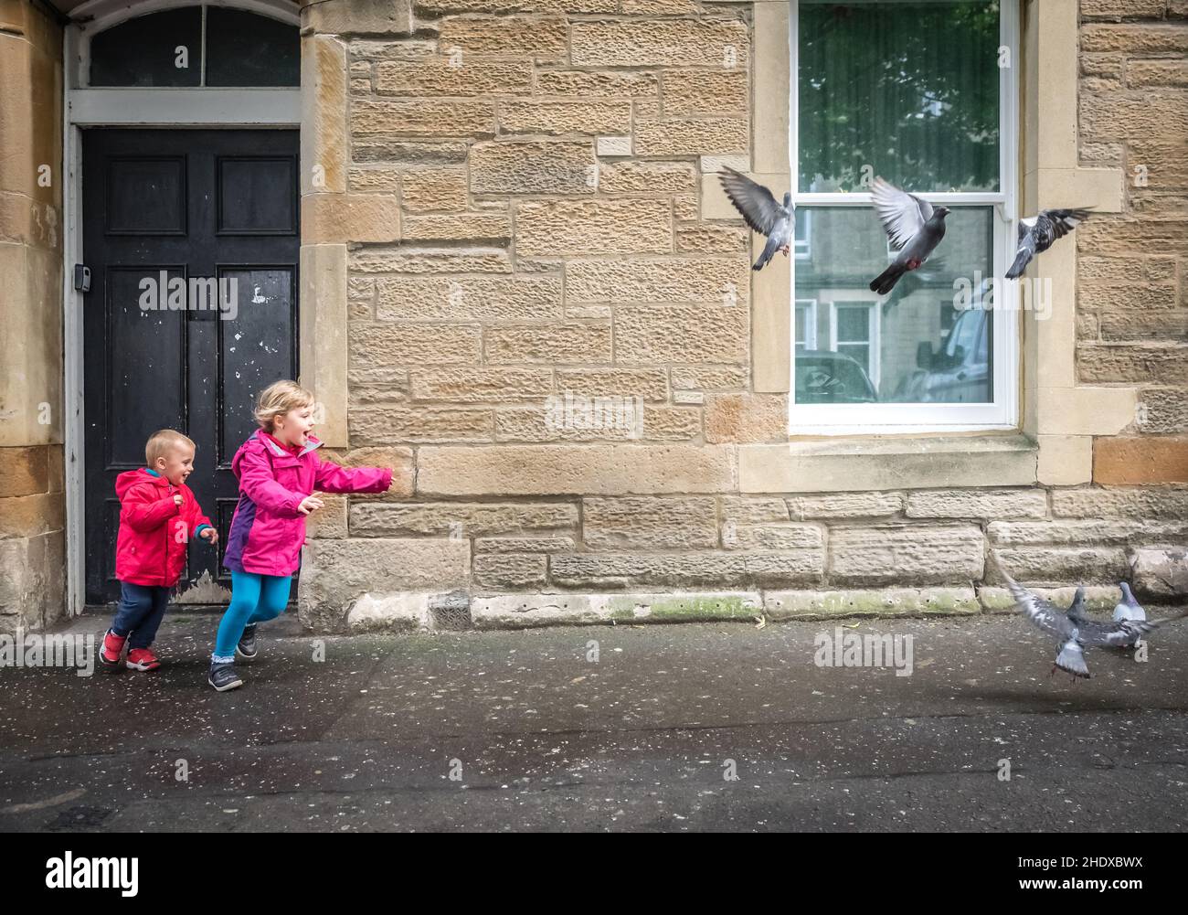 childhood, pigeons, chase, childhoods, children, kid, kids, pigeon ...