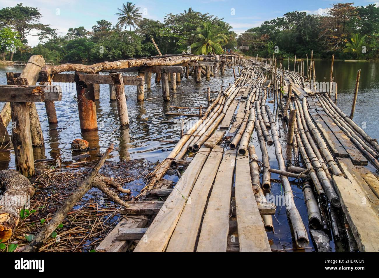 bridge, madagascar, Mananara Nord Nationa lpark, bridges, madagascars ...
