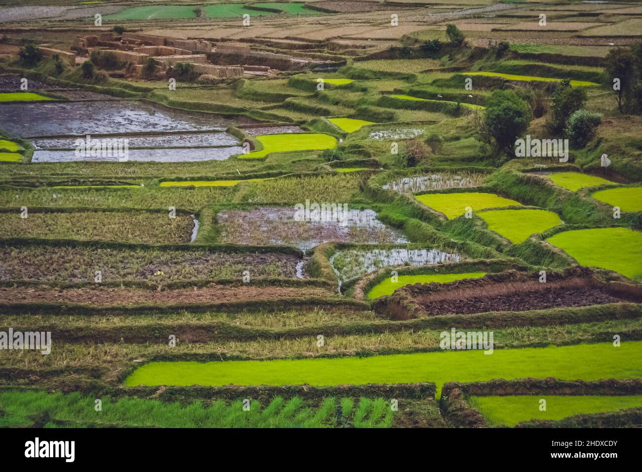 Rice terraces madagascar hi-res stock photography and images - Alamy