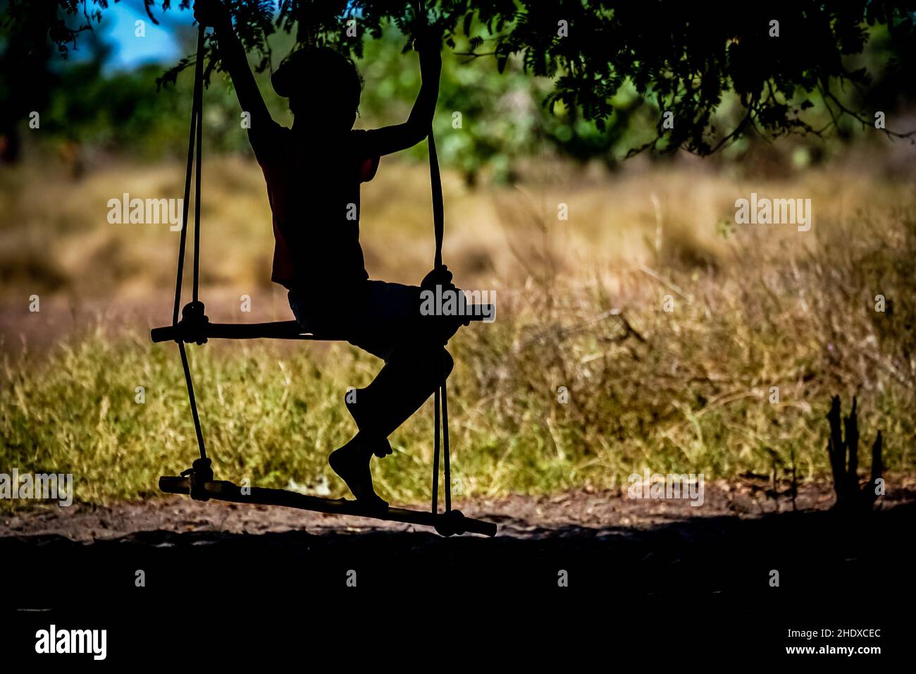 childhood, swing, rocking, childhoods, children, kid, kids Stock Photo ...