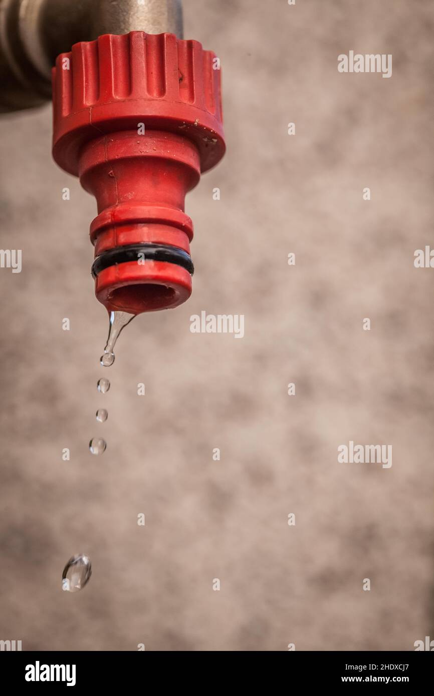 Connect gardens hi-res stock photography and images - Alamy