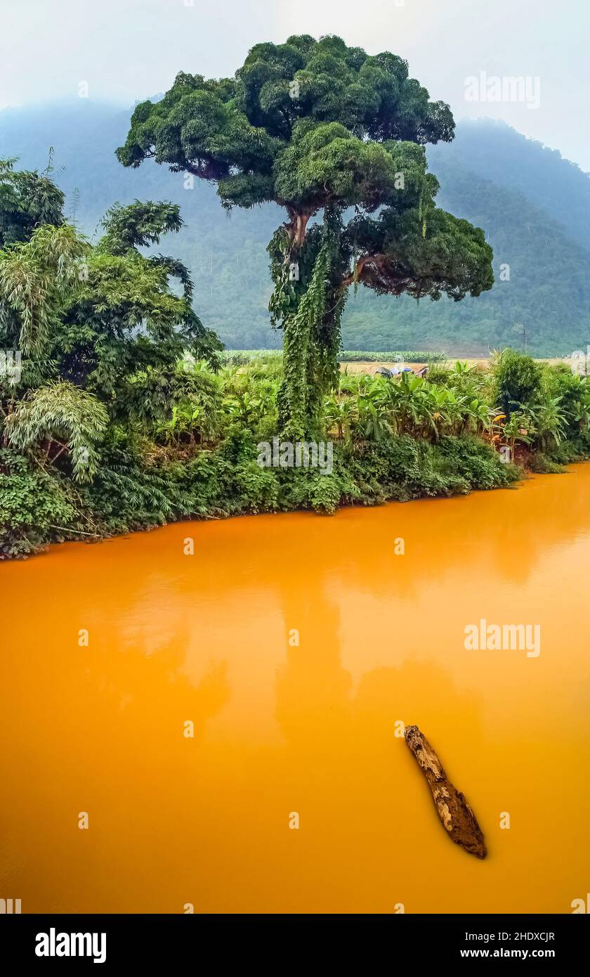 river, rainforest, rivers, jungle, rainforests Stock Photo - Alamy